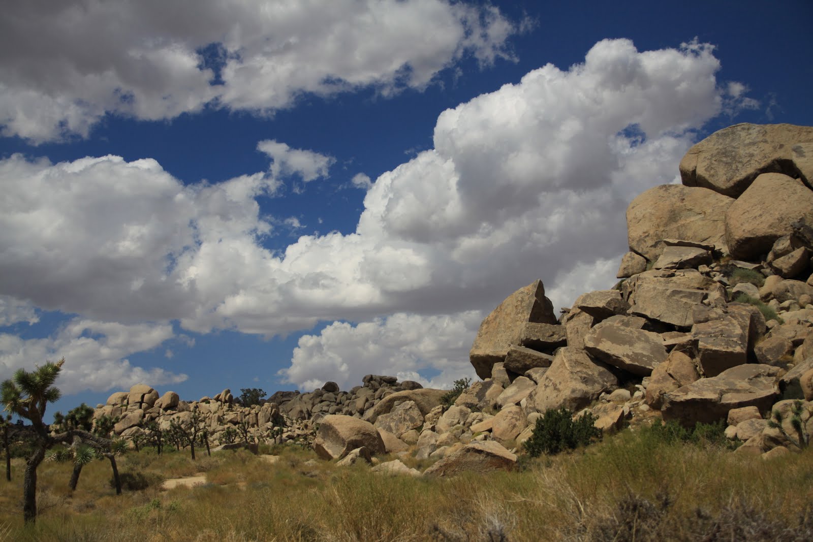 My Scenic Byway: High Desert Beauty