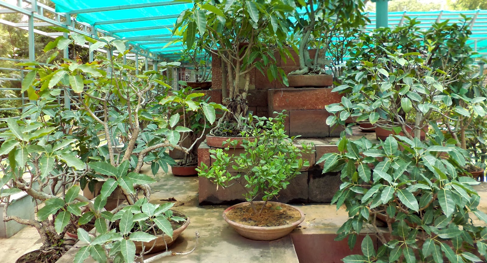 One of the Hidden Gems in Delhi : The Sunder Nursery