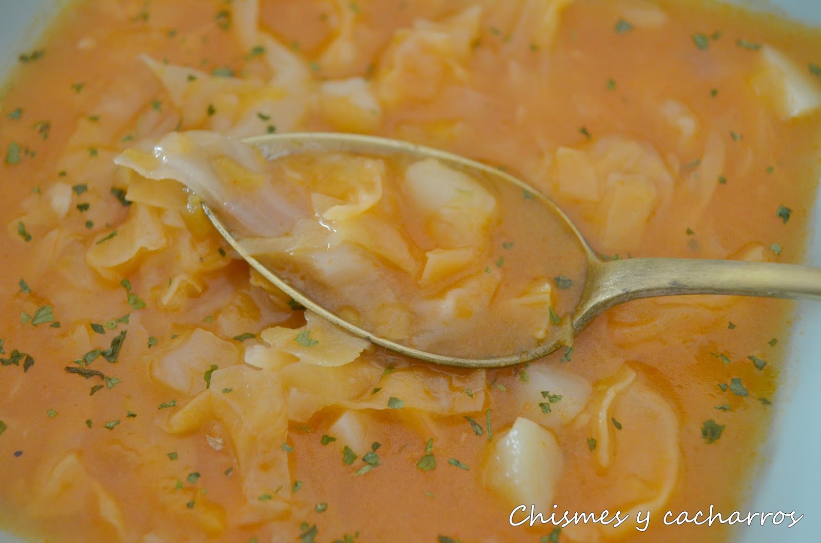 Sopa armenia de repollo, 62º Desafío en la cocina - Chismes y Cacharros