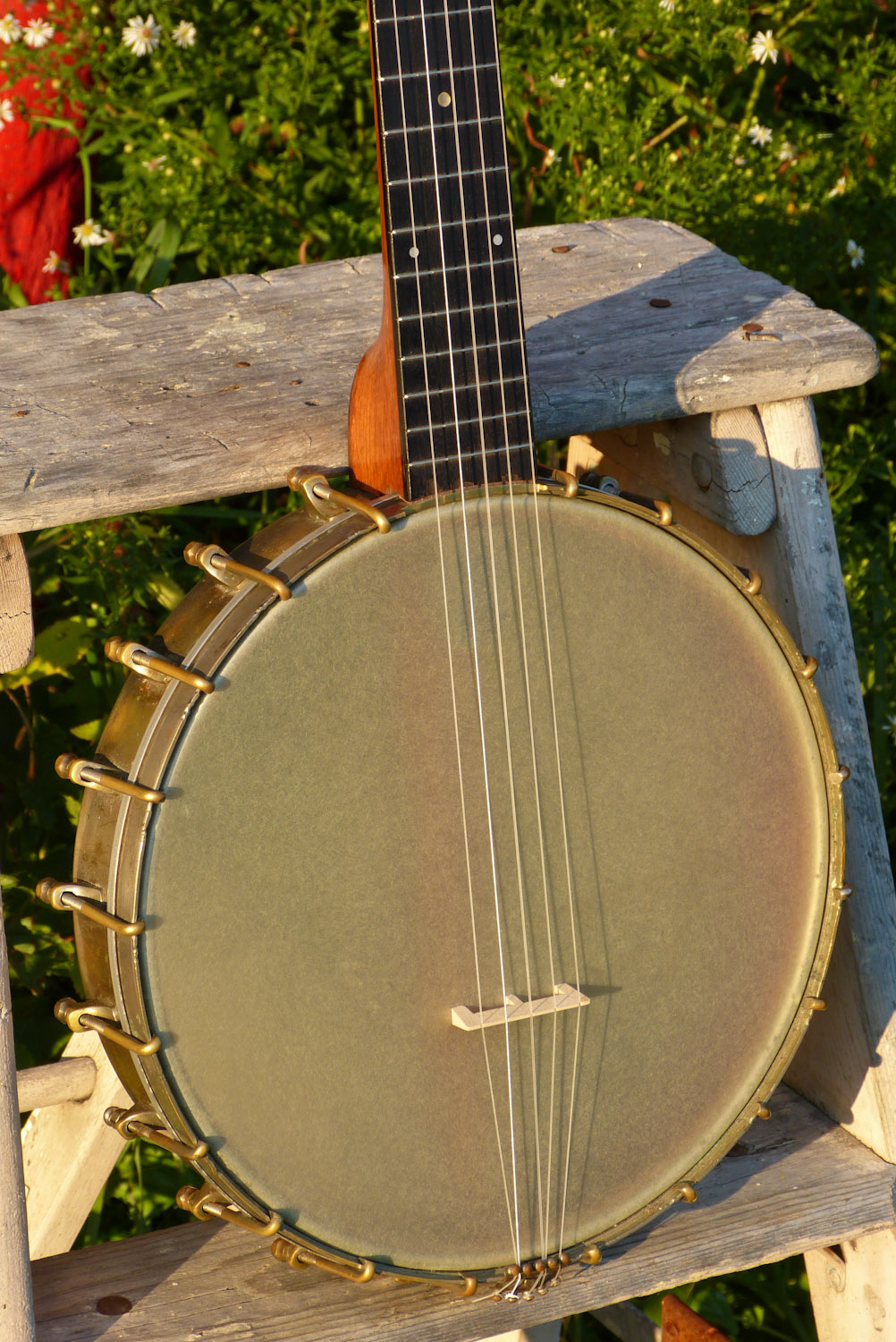 1908 Weymann Openback 5-String Banjo