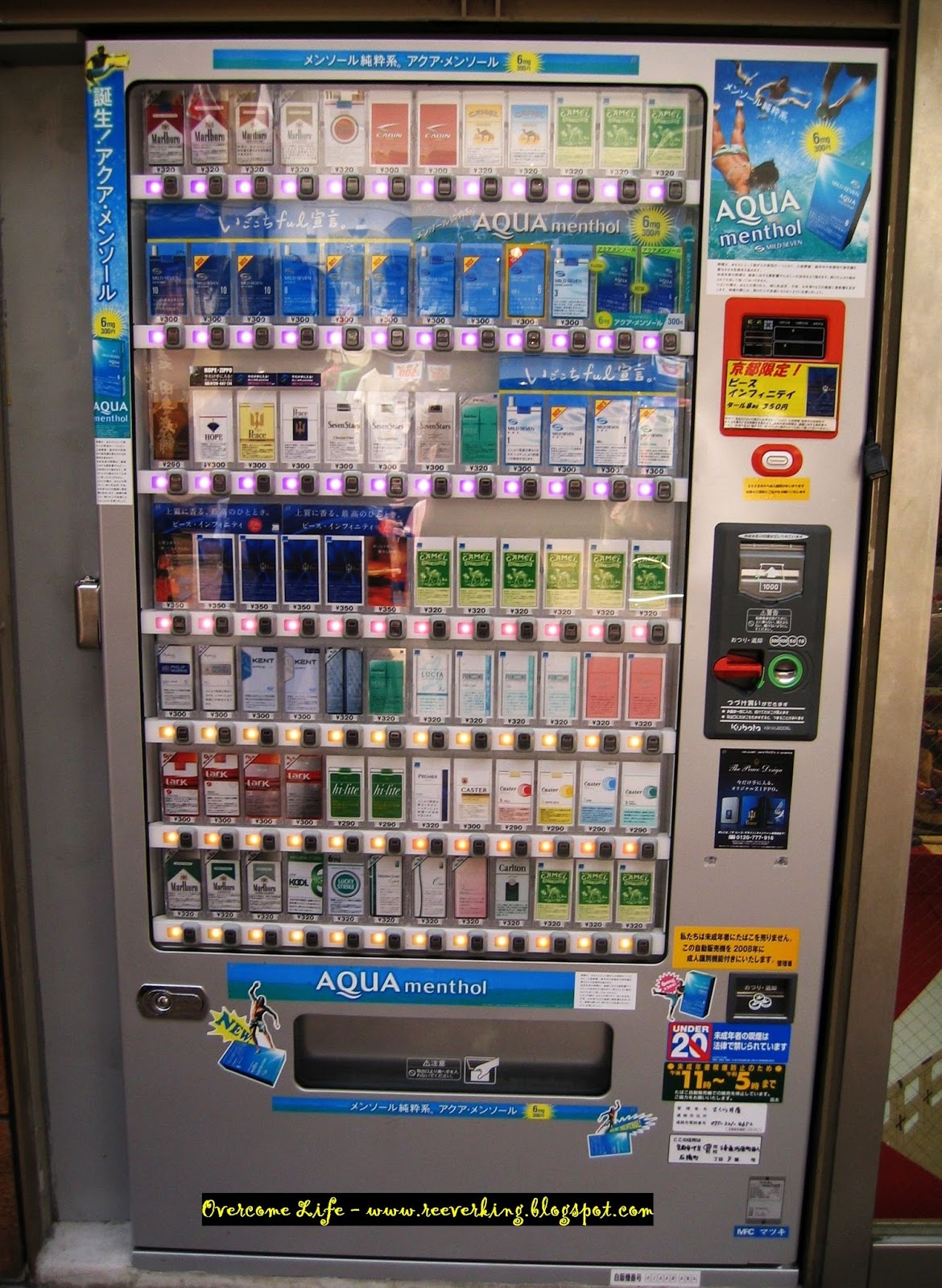 Fortune Vending Machine at Sherry Powers blog