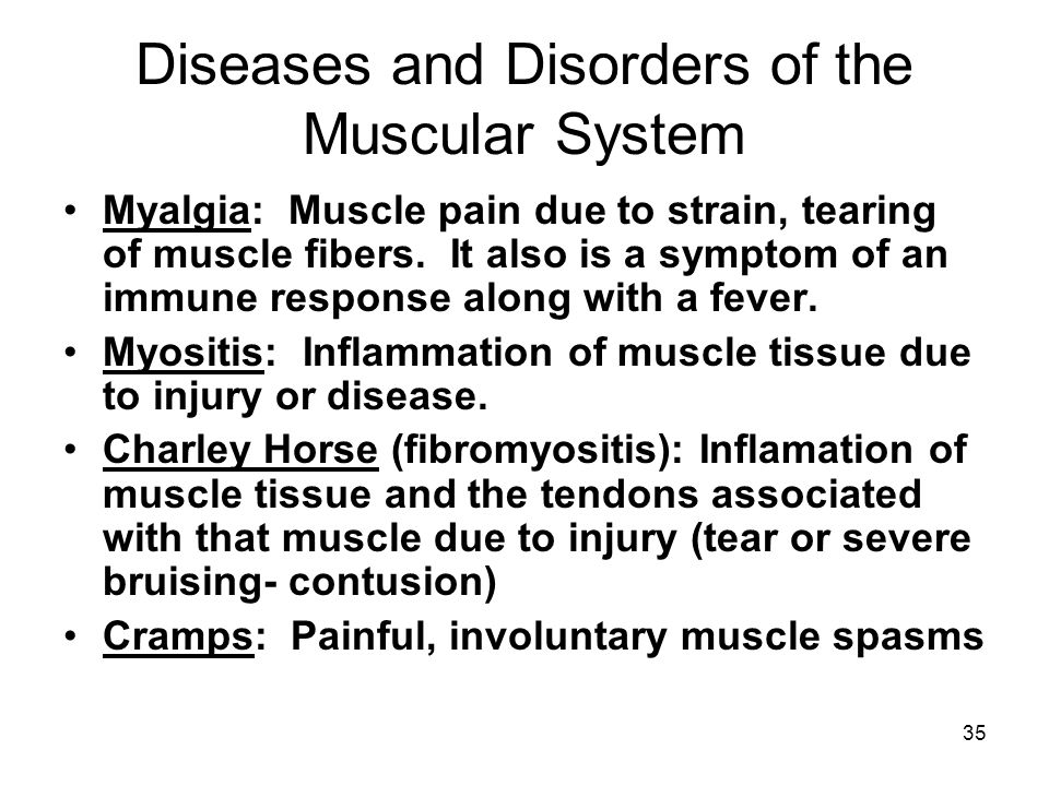 Perfect Health Forum: 23. Muscles Disorders Causes and Treatment