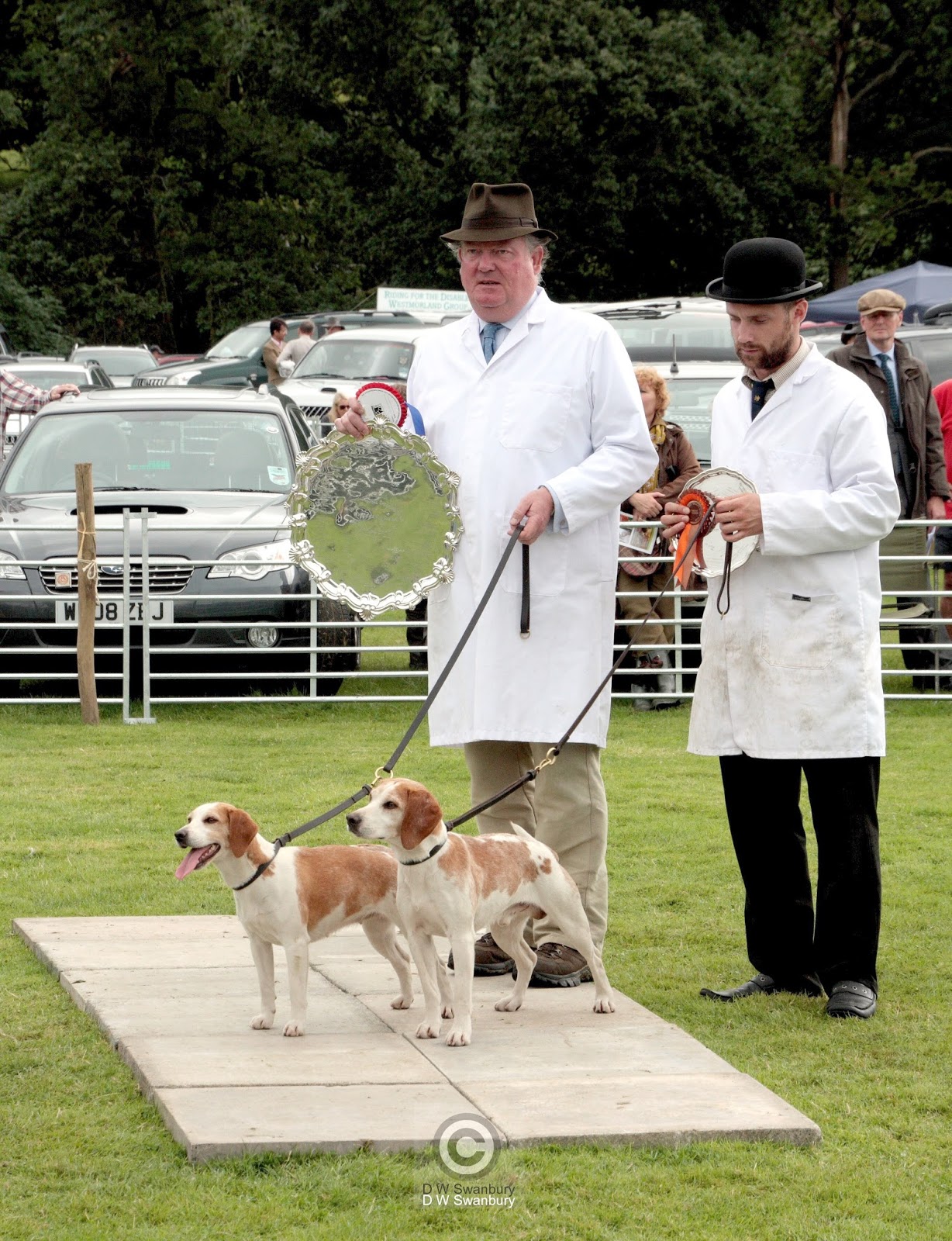 Colne Valley Beagles and other things of interest.: RYDAL HOUND SHOW ...