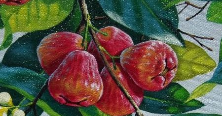 LUKISAN . U . KUSMANA : Lukisan Jambu Air