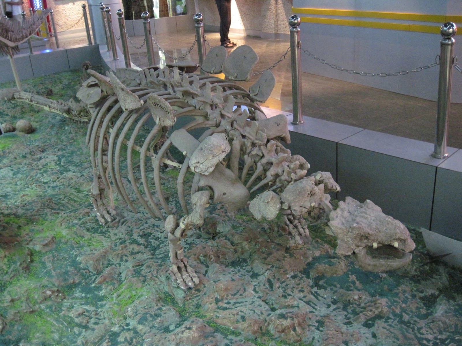 Crichtonpelta - Alchetron, The Free Social Encyclopedia