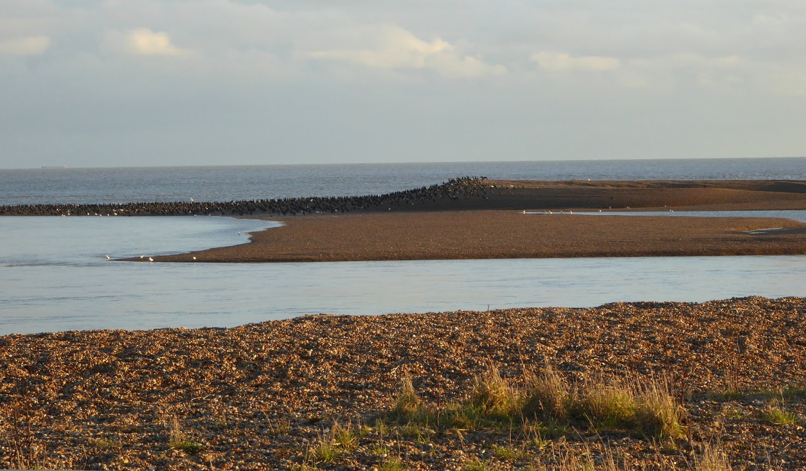 Wild and Wonderful: Shingle Street, a Wild Stretch of Suffolk Coast