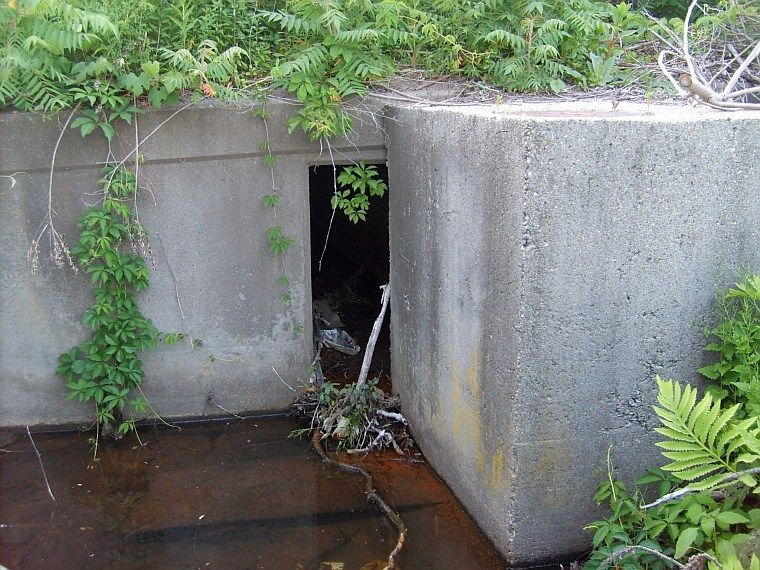 Remembering Danvers: Cow Tunnel