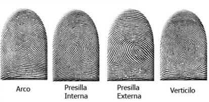 Dactiloscopia Forense