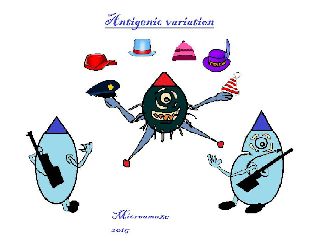 the Life Scientist: Antigenic variation