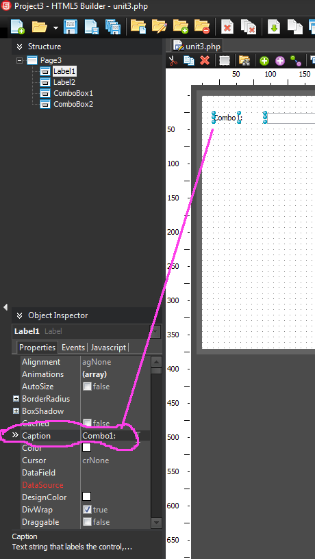 Learning Embarcadero HTML5Builder