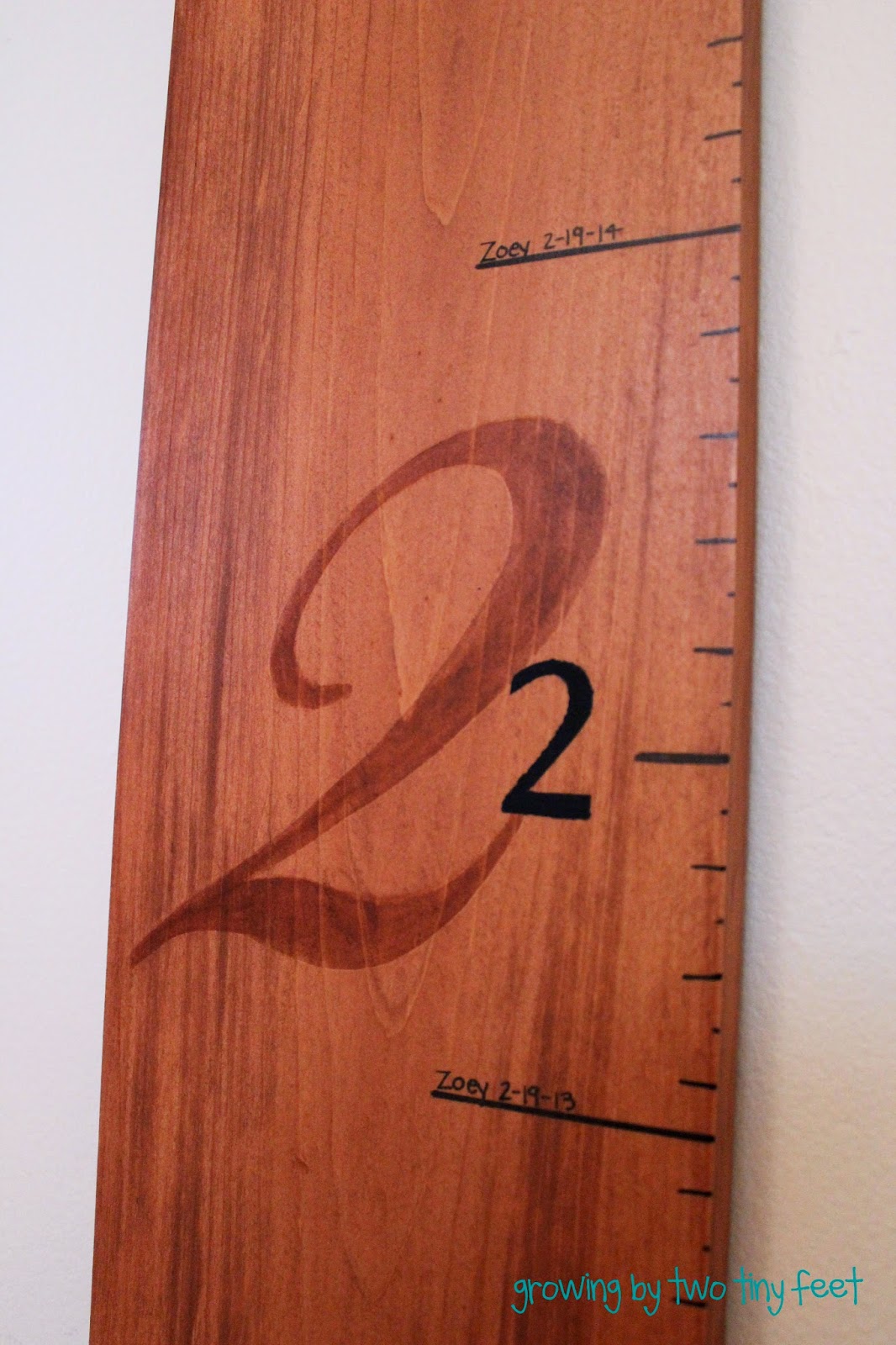 Growing by Two Tiny Feet: DIY Giant Ruler Growth Chart