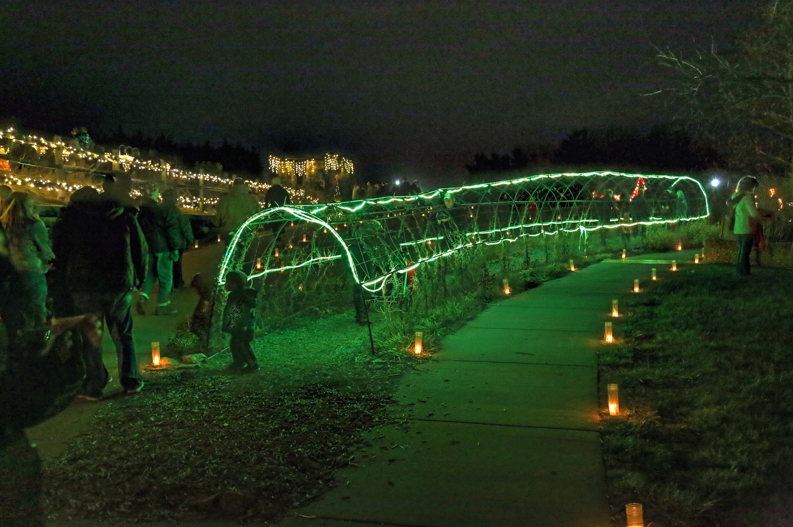 John and Sigrid's Adventures: Overland Park Arboretum Holiday Luminary ...