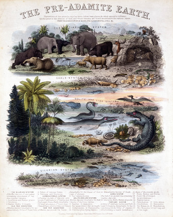 Seers and Stones: "Prophets Before Adam"