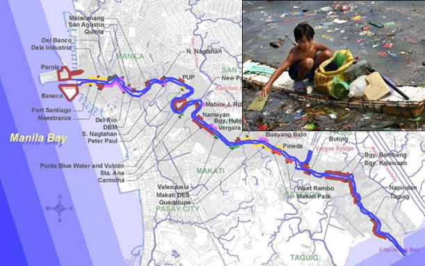 Bicolano Penguin: Run for the Pasig River 2011: Come Together and Be ...