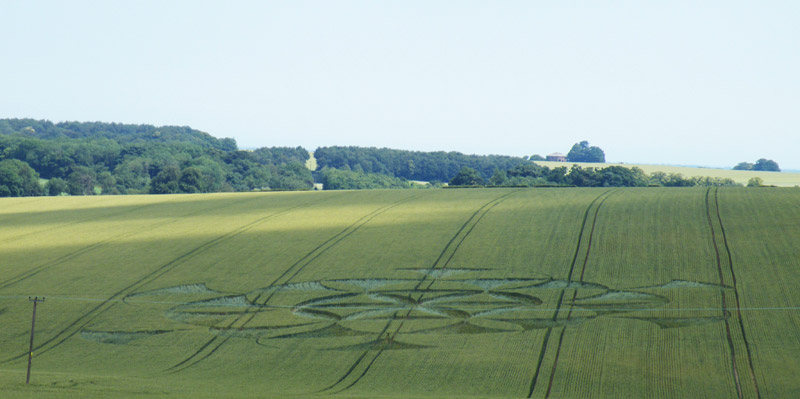Armónicos de Conciencia...: Ultimos Agrogramas o Círculos de Cosechas ...