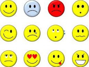 francesca frames...: 2013