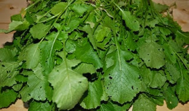 Invista numa vida saudável!: Nabiças