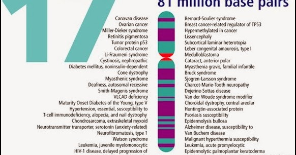 Charcot-Marie-Tooth: When and Where?