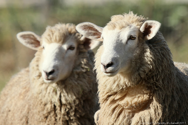 BCxFour: October 2011