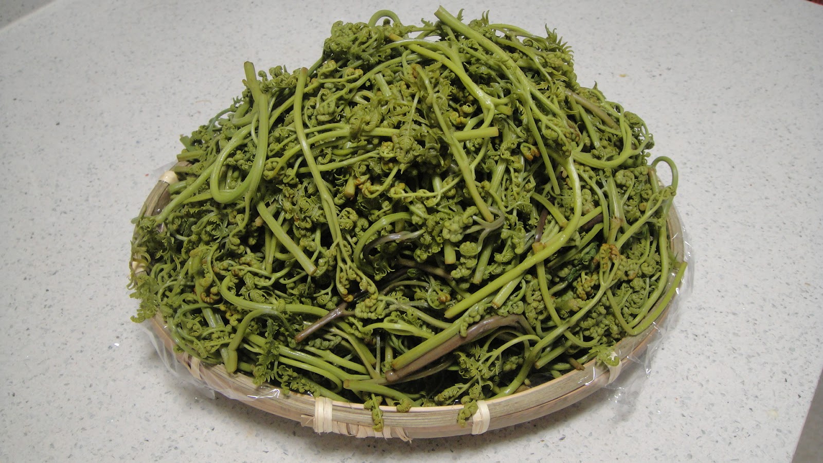 Kimchi House: Bracken sprouts/蕨菜/고사리