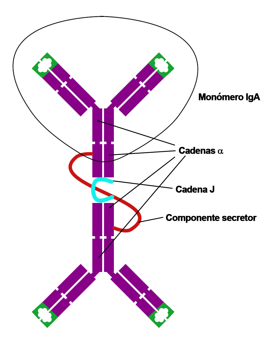 Indignación científica: Una historia de Poniente (IV): las Casas de ...