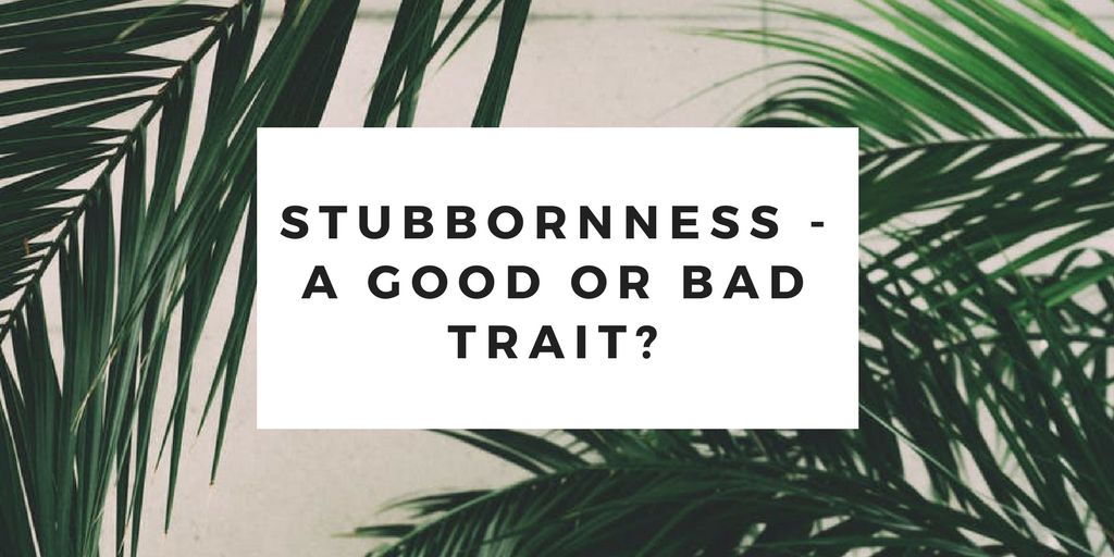 Stubbornness - A good or bad trait? - Lucy Mary
