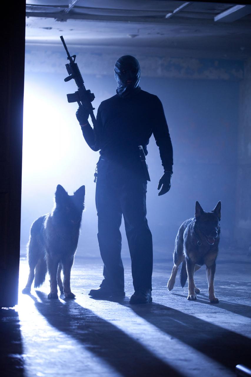 Cine y ... ¡acción!: The Collection