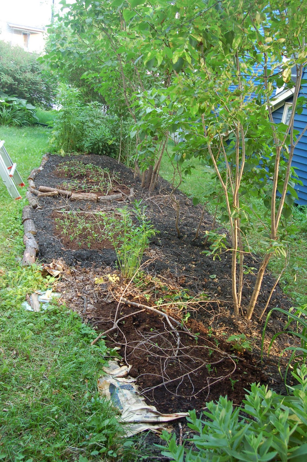 3 Jardins au Québec: Des plates-bandes comestibles et riches en ...