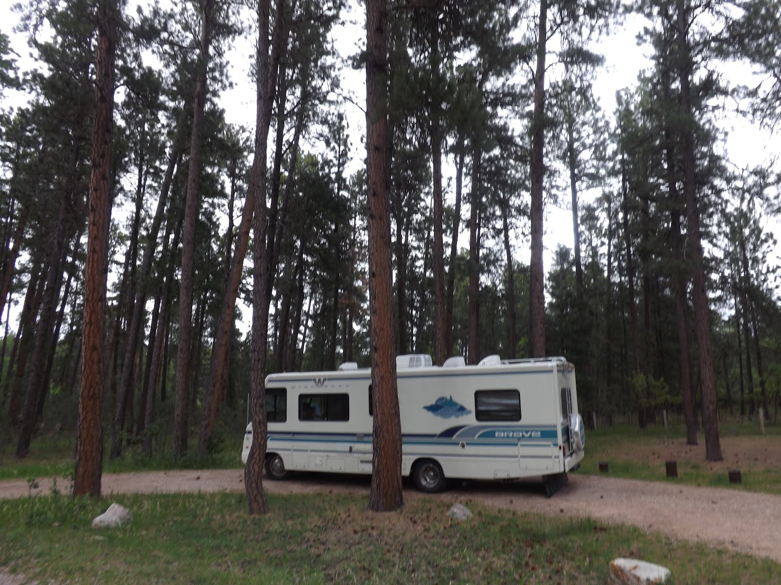 1994 Brave 29RQ RV: Bear Lodge National Forest Service Campground