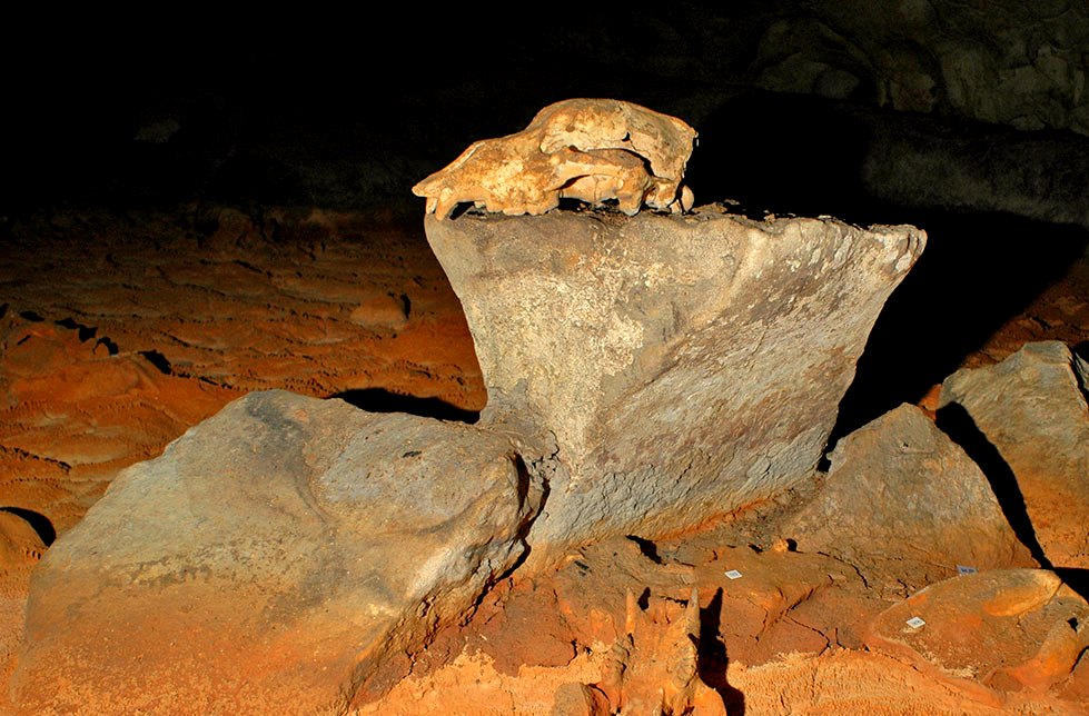 Jurnalul Venatorilor: Peștera Chauvet, altarul vânătorilor paleolitici