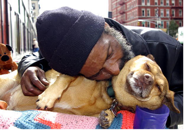 The Doglando Blog : Orlando Dog Grooming | Orlando Dog Training | Dog ...