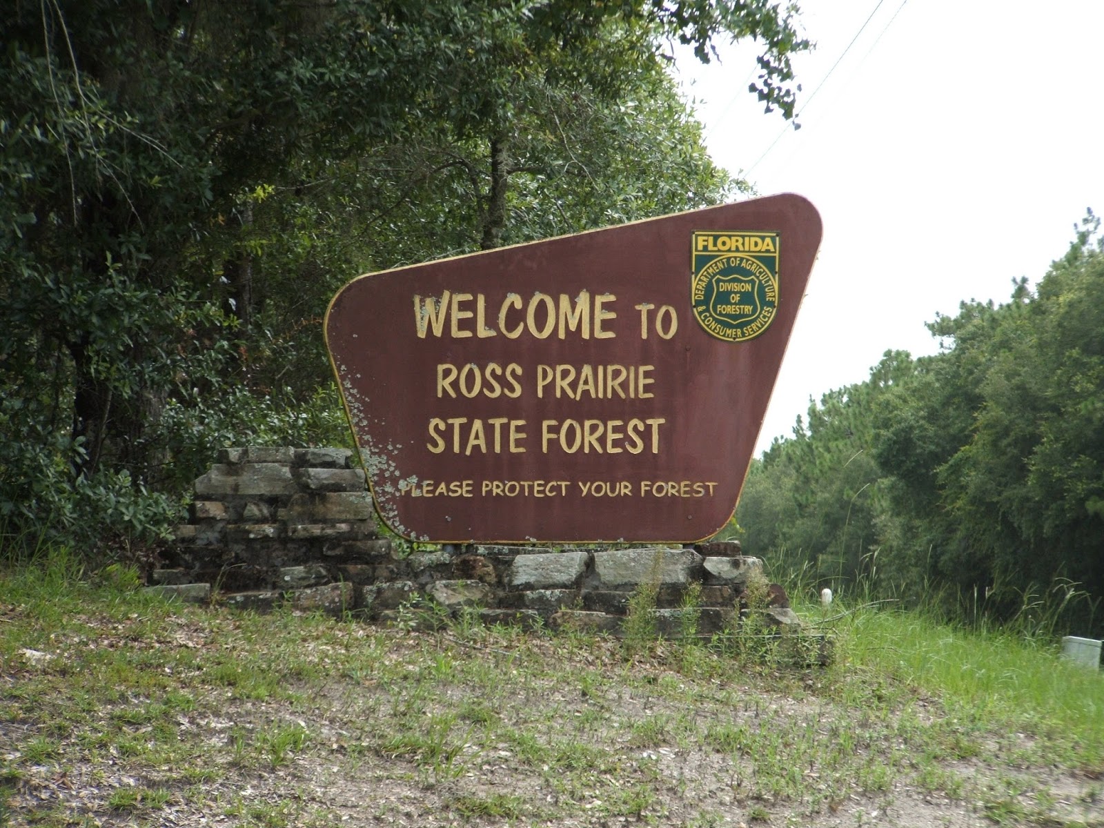 A Hikers Driving Tour