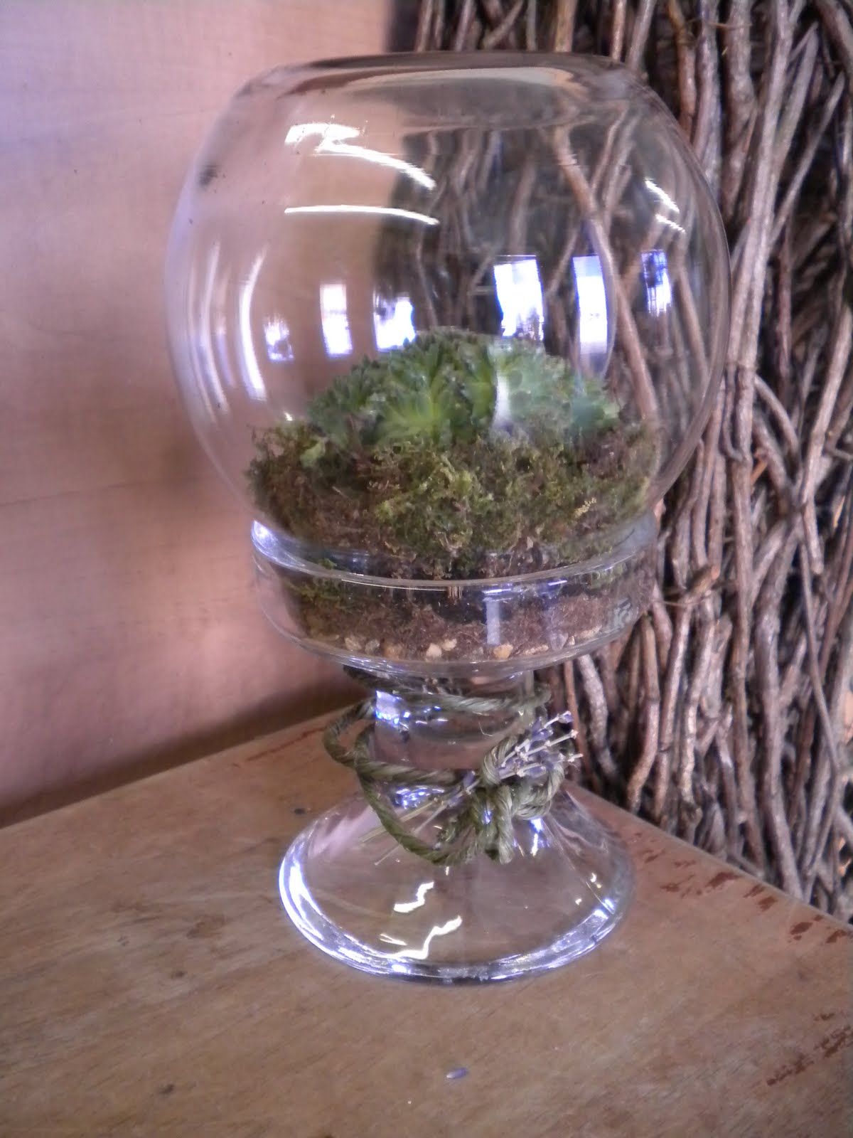 Flowers By Semia: Terrariums