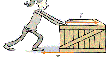 Física de los cuerpos rígidos