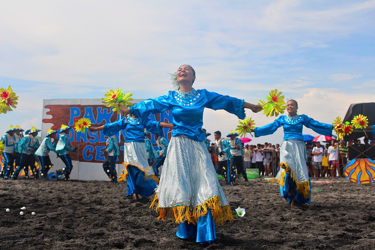 Bataan Pawikan Festival: Sending Sea Turtles Home with Love - Nomadic ...
