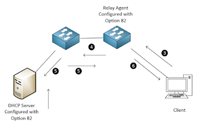 What's the deal with DHCP Option 82?