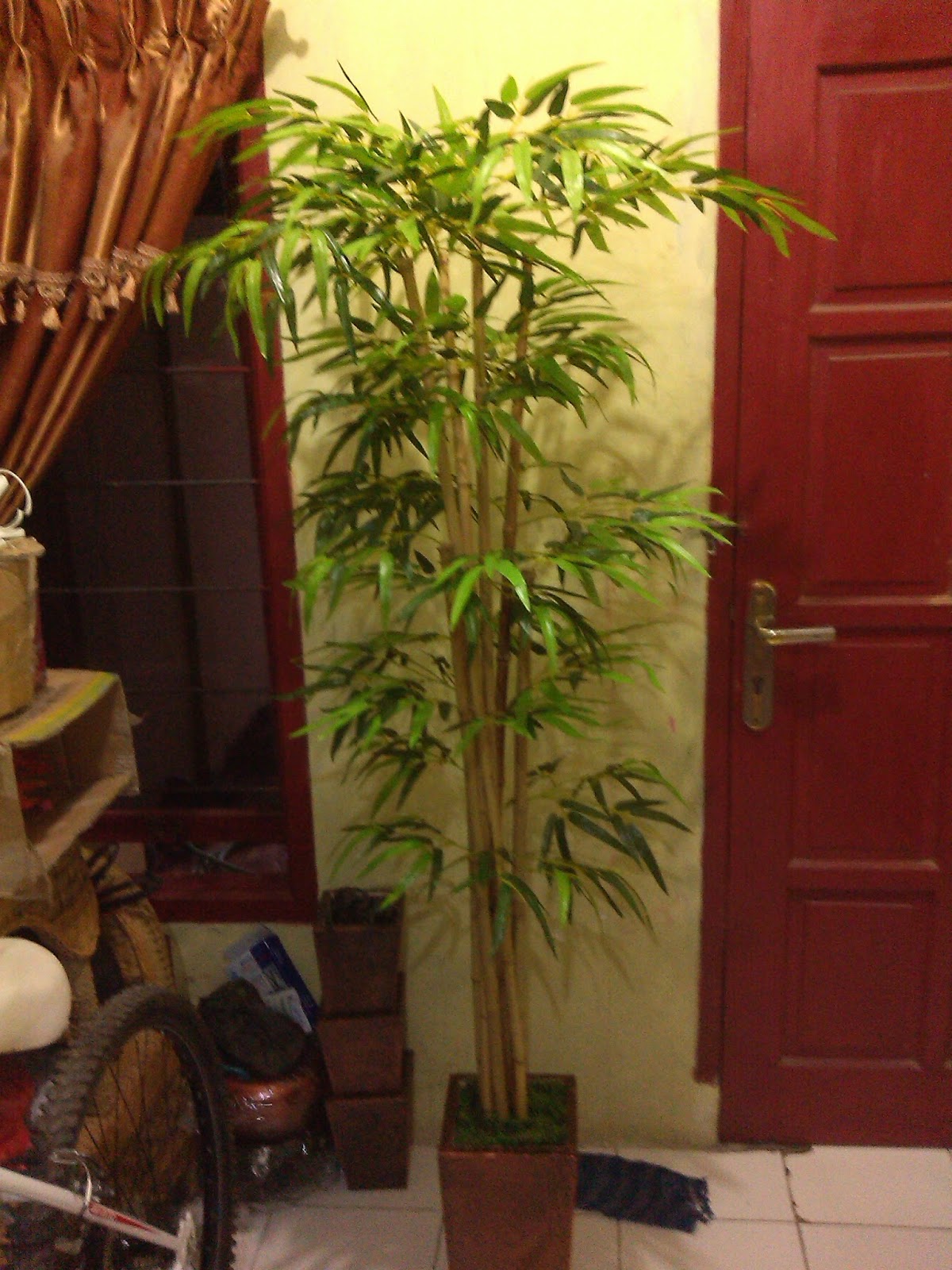 18+ Terbaru Bunga Bambu, Gambar Bunga