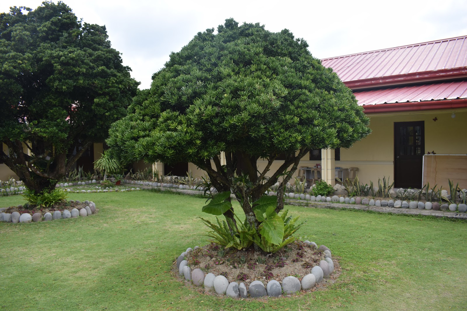 A shot with a shot.: Batanes Escapades!