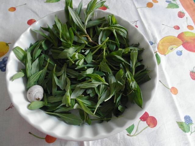 ILFOGOLAR: Pesto di sclopit