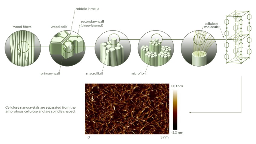 Nanocellulose biorefineries – A biomaterial with unparalleled ...