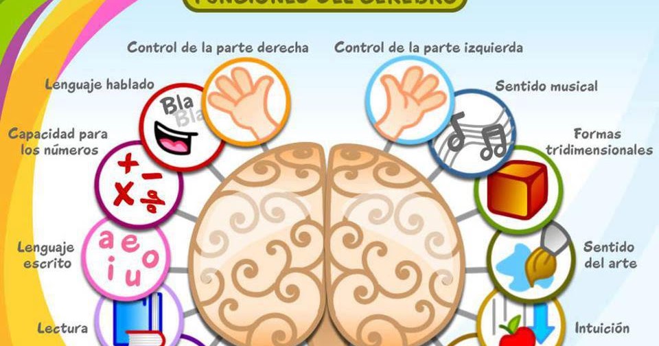 ENFERMEDAD MOTORA DE ORIGEN CEREBRAL (EMOC). ~ Fisioterapia