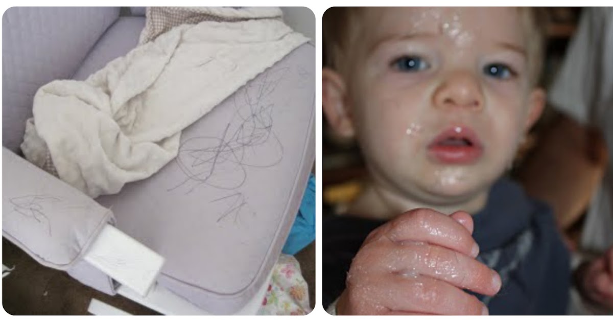 Lu Bird Baby: Perspective