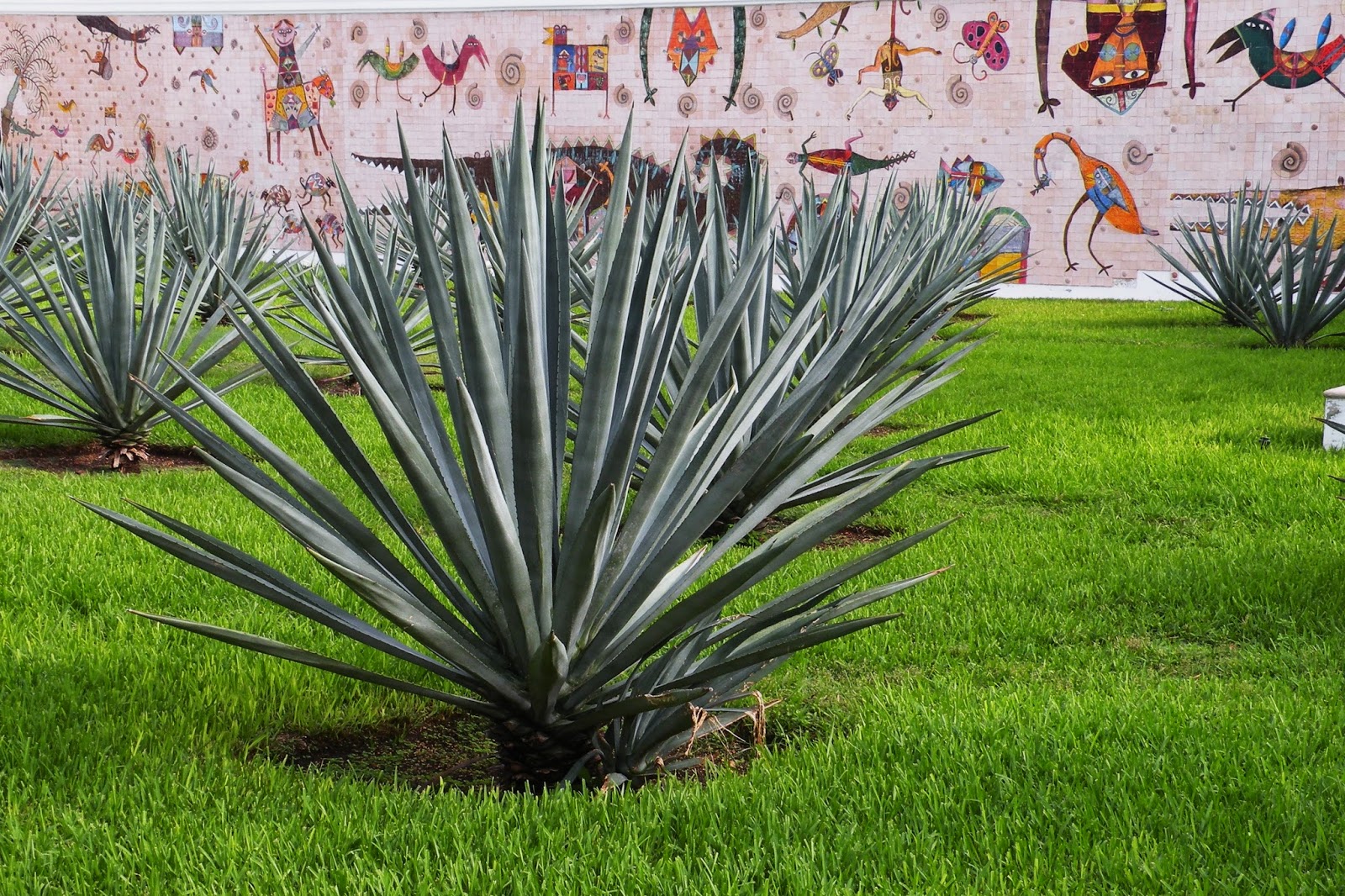 PENÍNSULA DE YUCATÁN AL COMPLETO