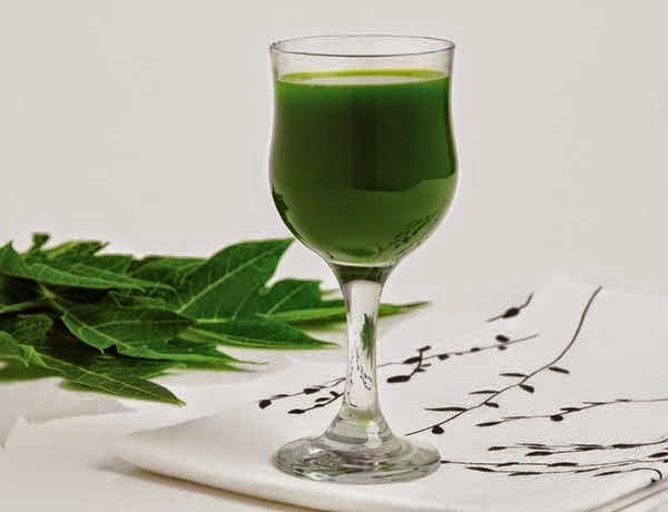 Papaya Leaf Tea Benefits ~ Healthy Tea 101