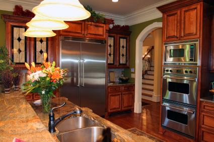 kitchen appliances: Gourmet Kitchen Appliances