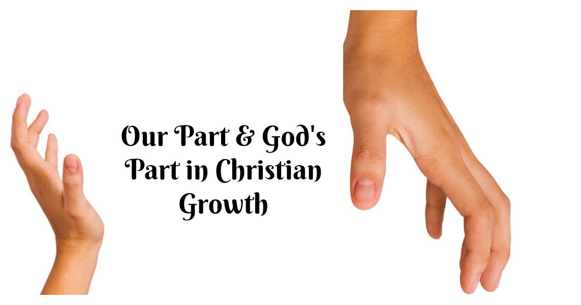 Bite Size Bible Study: Our Part in Christian Maturity and God's Part ...