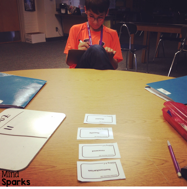 Mind Sparks: Quick Draw (A GREAT game to review vocabulary!)