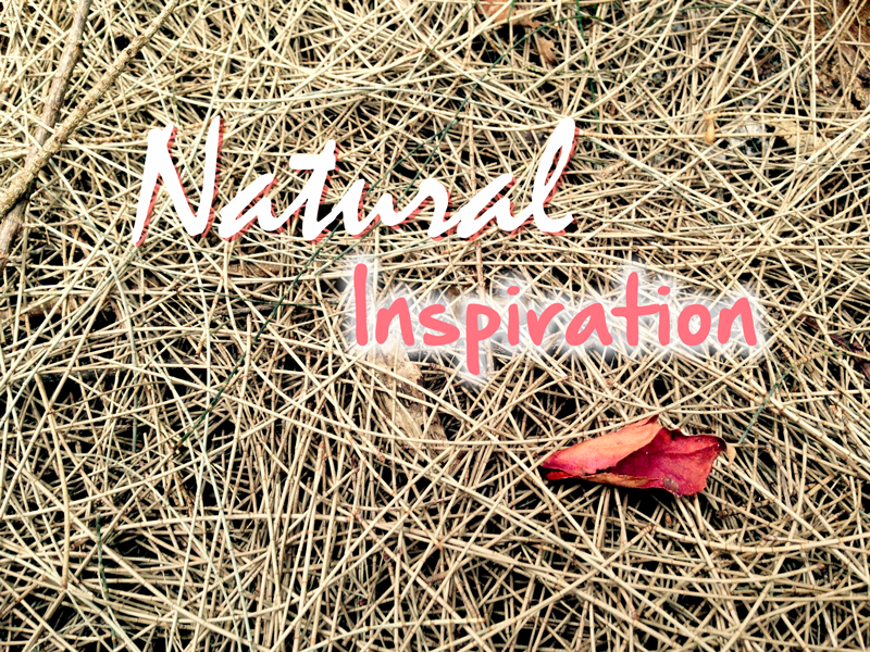 Home Grown Spirit Life: Natural Inspiration