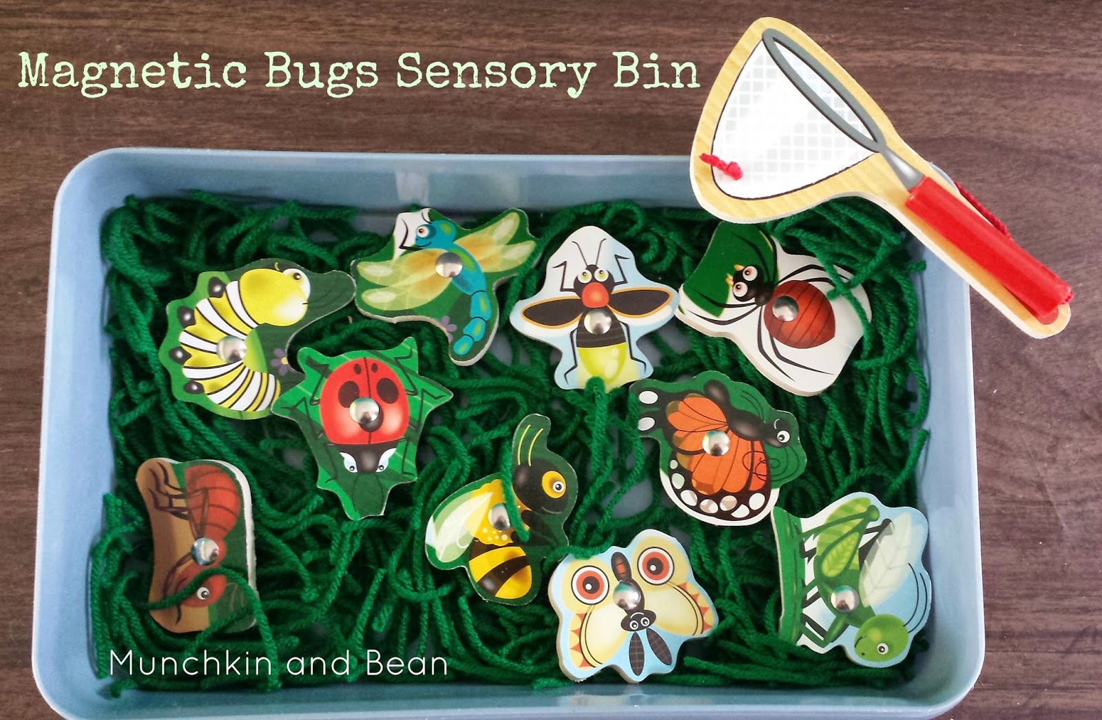 Munchkin and Bean: Magnetic Bugs Sensory Bin