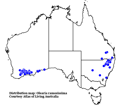 The Nature of Robertson: A follow-up re "disjunct populations" and ...